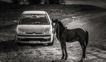 Article 2044 du Code civil : explication de l'article de loi - 1jour.net